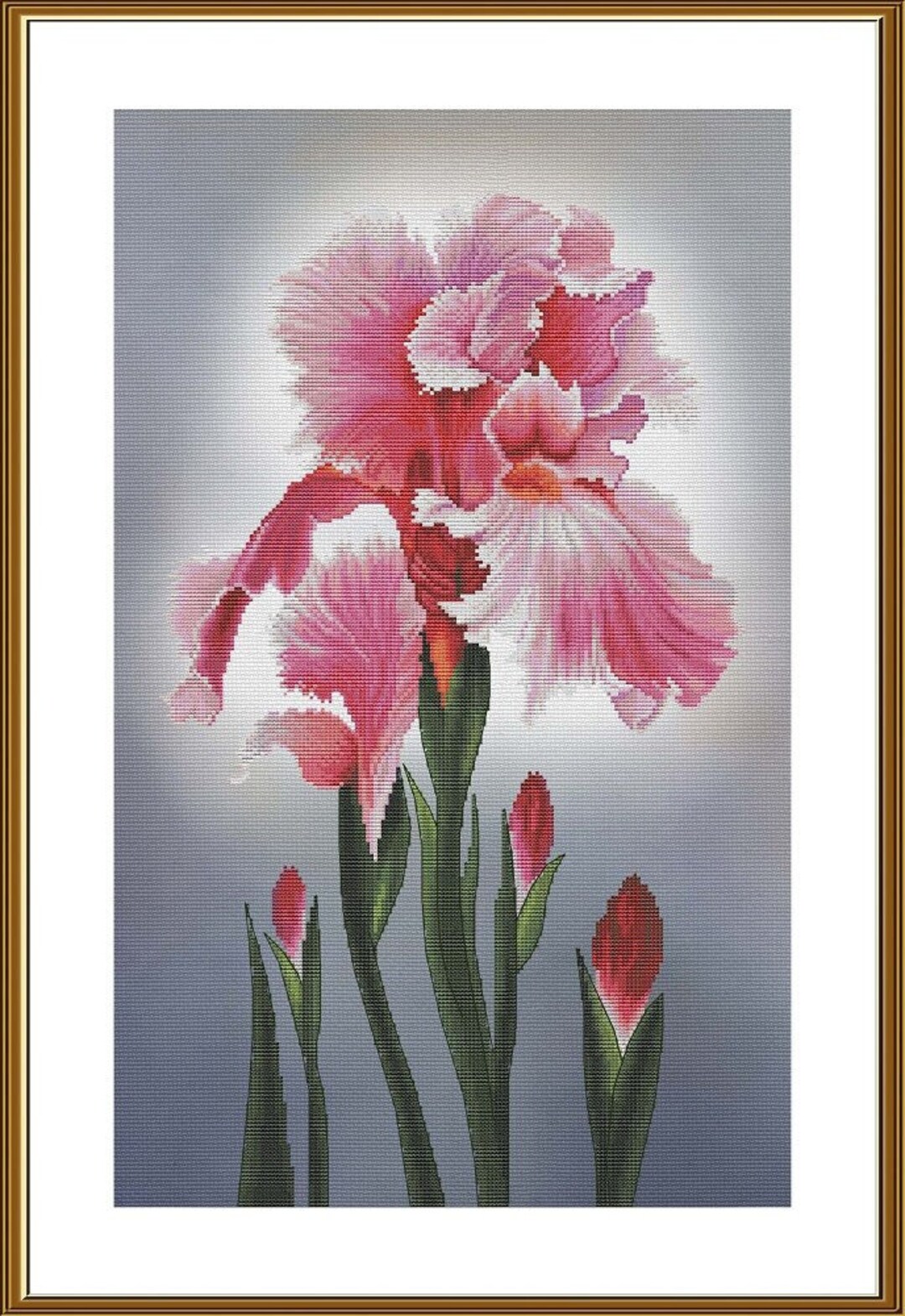 Pink Iris Cross Stitch Kit, Watercolor Flowers X-stitch Pattern, Spring ...