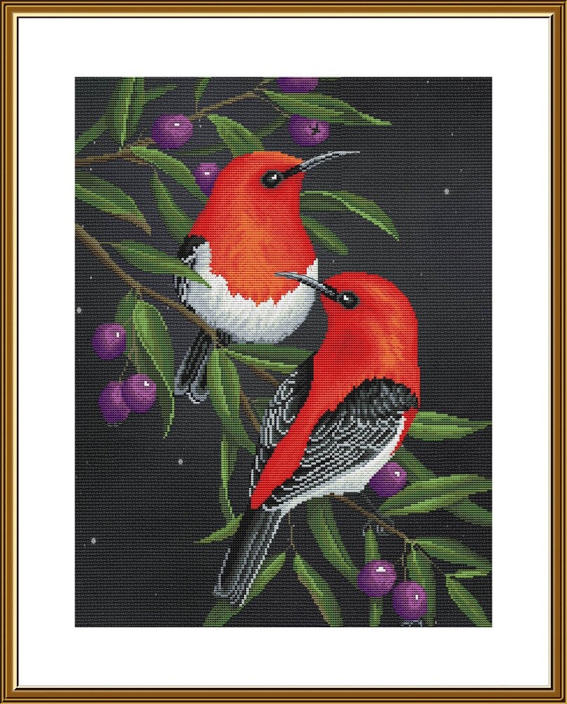 Scarlet Tanagers Cross Stitch Kit, Exotic Bird Couple on Olive Tree ...