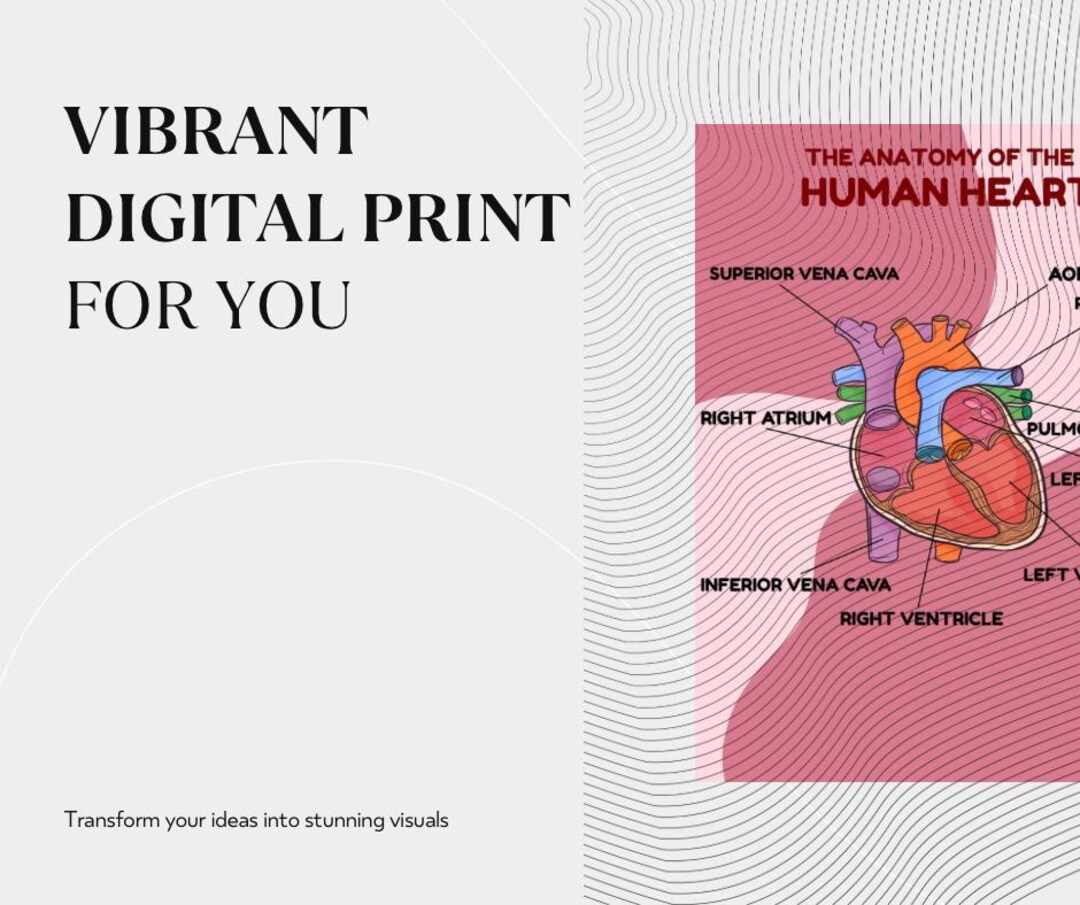 Digital Heart/brain Anatomy Poster | Medical Wall Art Printable | Human ...