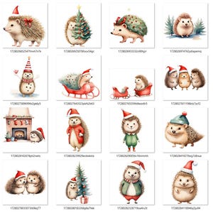 Christmas Hedgehog Clipart | Cute Xmas Hedgehogs PNG | Hedgehog Clipart ...