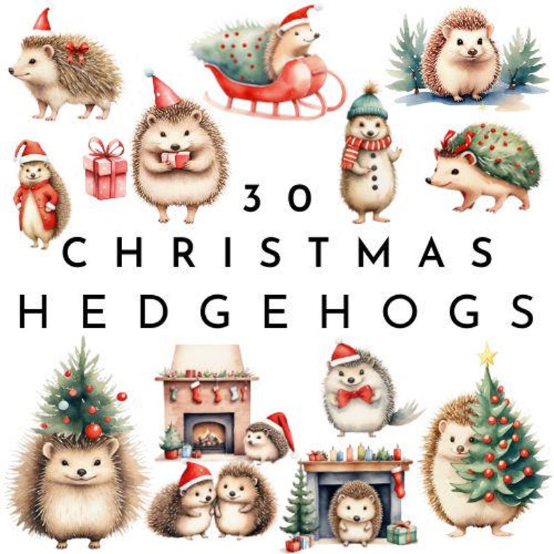 Christmas Hedgehog Clipart | Cute Xmas Hedgehogs PNG | Hedgehog Clipart ...