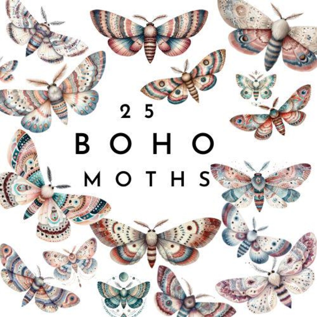 Boho Moths Clipart Moth Graphics Bohemian Moth PNG Moth Download Moth ...