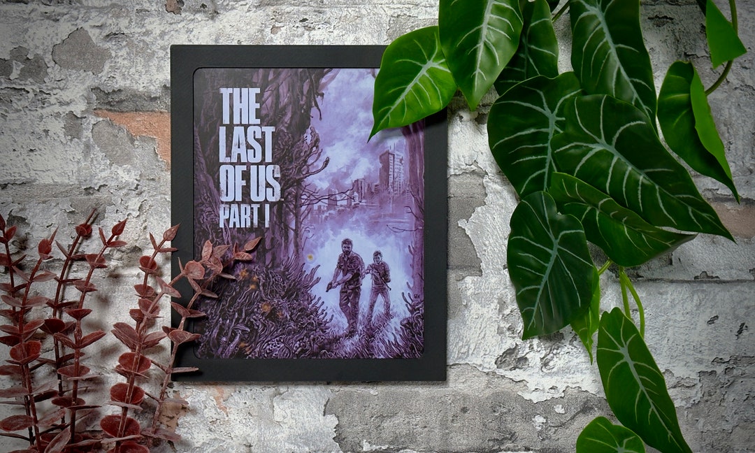 Blu-ray Steelbook Frame - Etsy