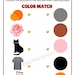 Color Match Worksheets for Kindergarten, Preschool, Kids, Colorful ...