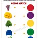 Color Match Worksheets for Kindergarten, Preschool, Kids, Colorful ...