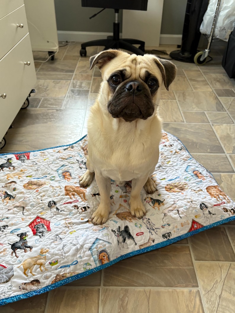 ALL DOGS Quilt - 39”x24” Pet Accessories, Dog Quilt, Puppy Quilt, Dog ...