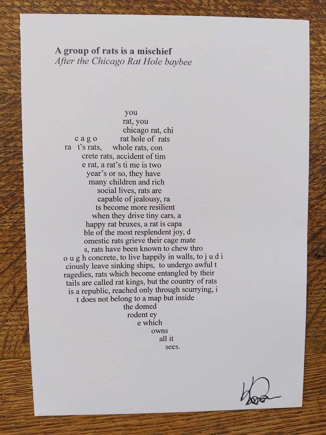 Chicago Rat Hole Poem Print concrete Verse A5 - Etsy