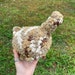 Mocha Crochet Loaf Cat Plush Amigurumi Chubby Cat Handmade Crochet Cat ...