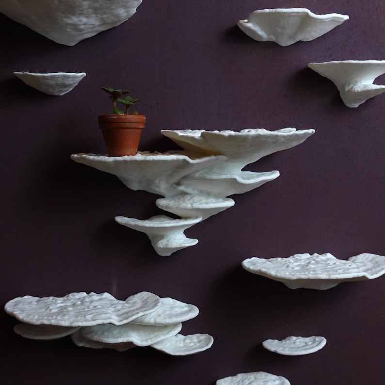 Trametes Fungus Mushroom Shelf Designed by Gazzaladra - Etsy