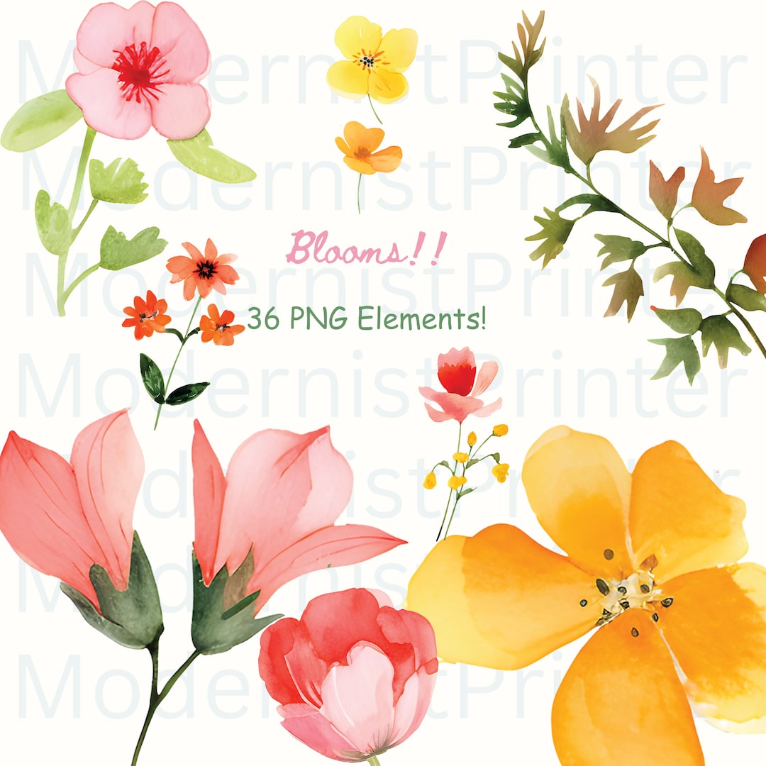 Vibrant Spring Blooms Clipart | Wild Spring Summer Flowers, Flower ...