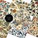 Colonial Floral Patterned Digital Paper , 12 Fresh Original Designs ...