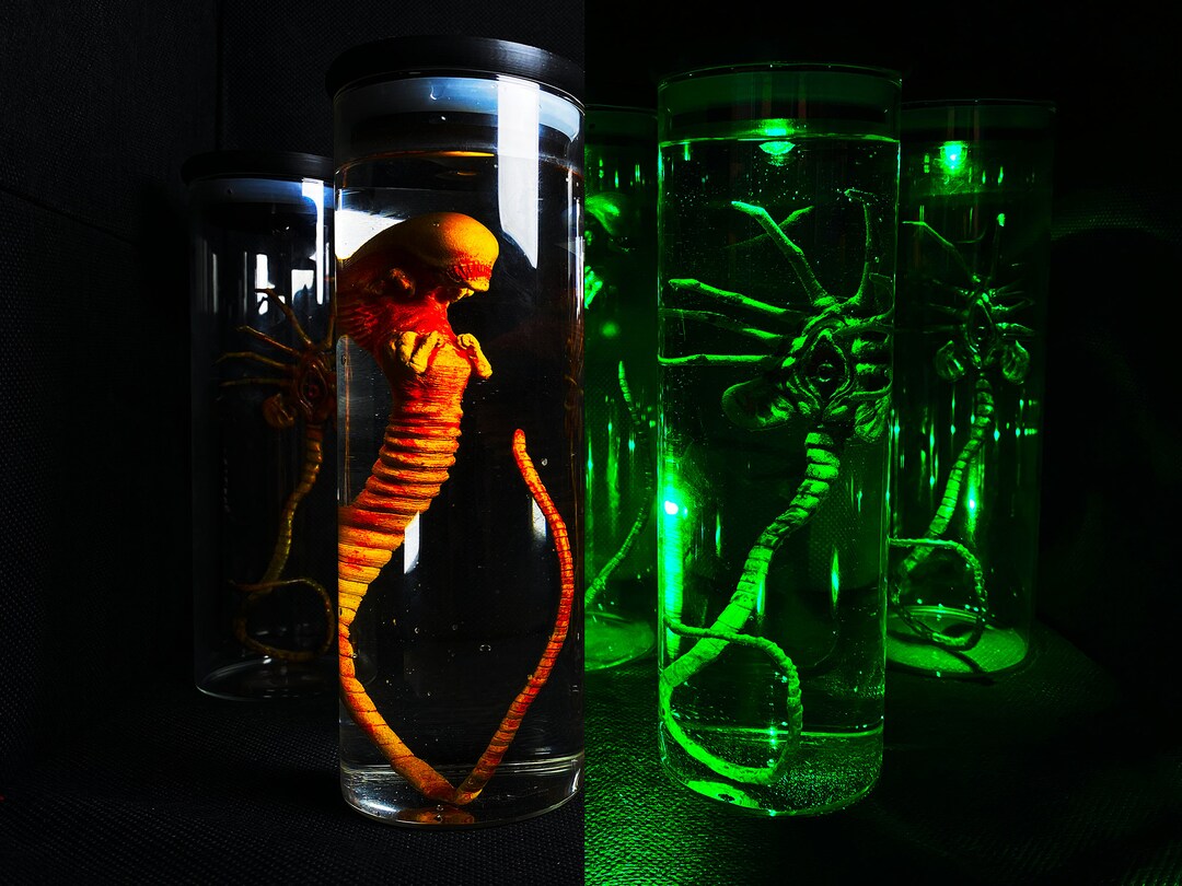 Alien Jar Xenomorph Specimen Facehugger Embryo Glass Jar Movie Prop ...