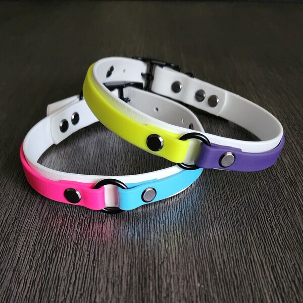 Gay Pride Dog - Etsy