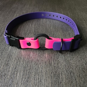 Custom Biothane E-collar Strap: Bungee, Quick Release Buckle, Waterproof Dog Training Gear - Etsy