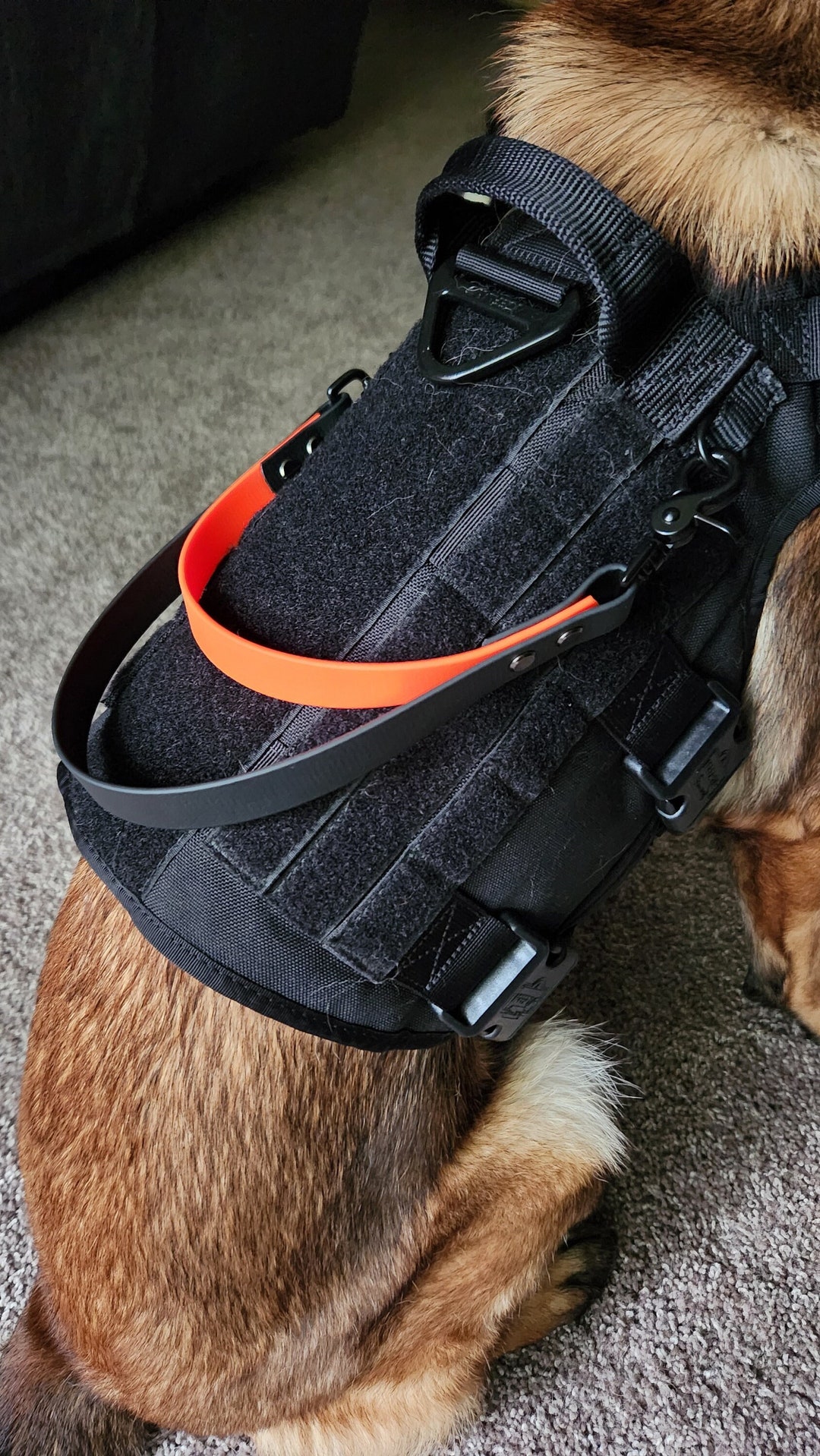 Custom Biothane Double Pull Strap for Momentum Pulling Task: Waterproof ...