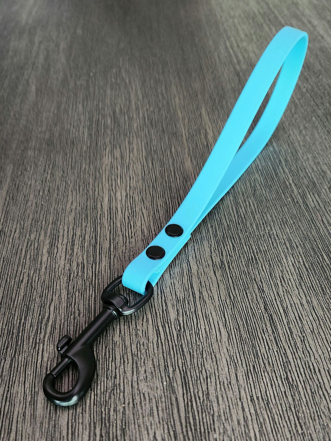 Biothane Traffic Lead, Tab Leash, Waterproof Dog Training Tab, Vegan ...