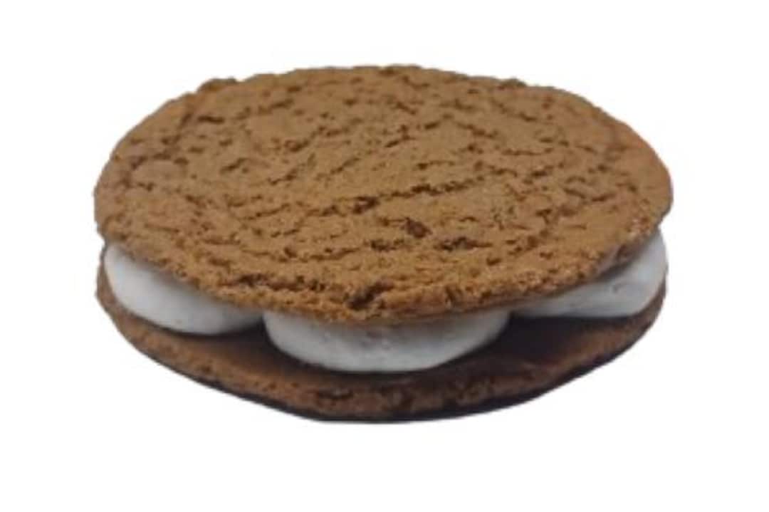 Oatmeal Sandwich Snack Cake Fake Food Replica - Etsy