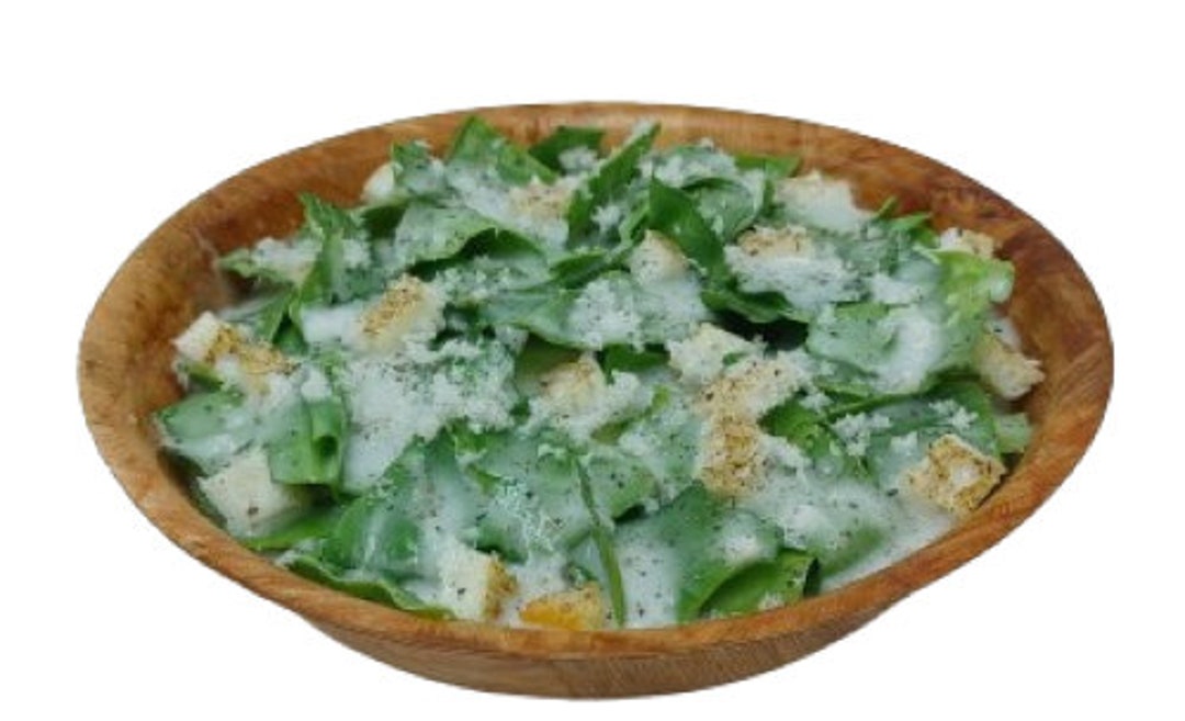 Cesar Salad Fake Food Replica - Etsy