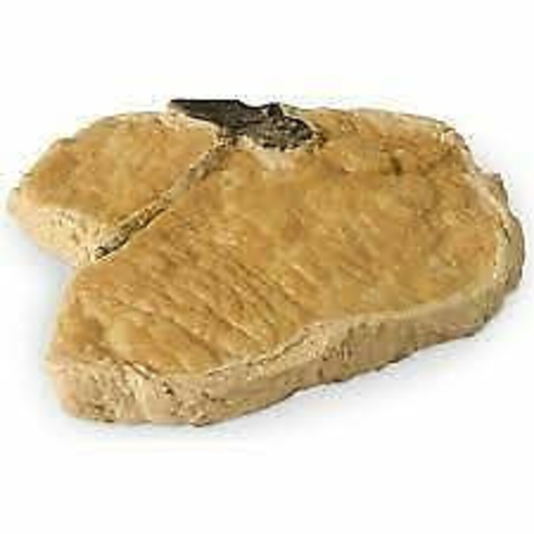 Fried Pork Chop Fake Food Replica - Etsy