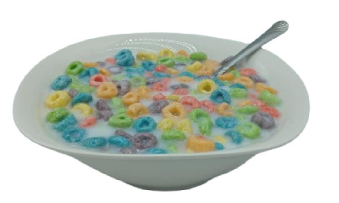 Fruity O's Cereal With Milk Fake Food Replica - Etsy