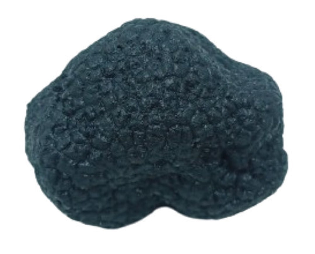 Truffle Mushroom Fake Food Replica - Etsy