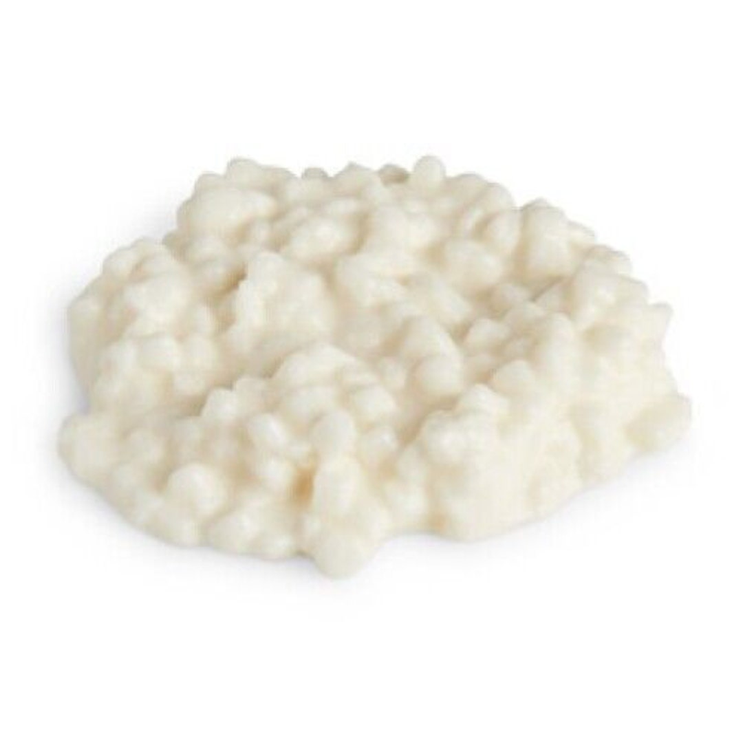 Cottage Cheese Fake Food Replica - Etsy