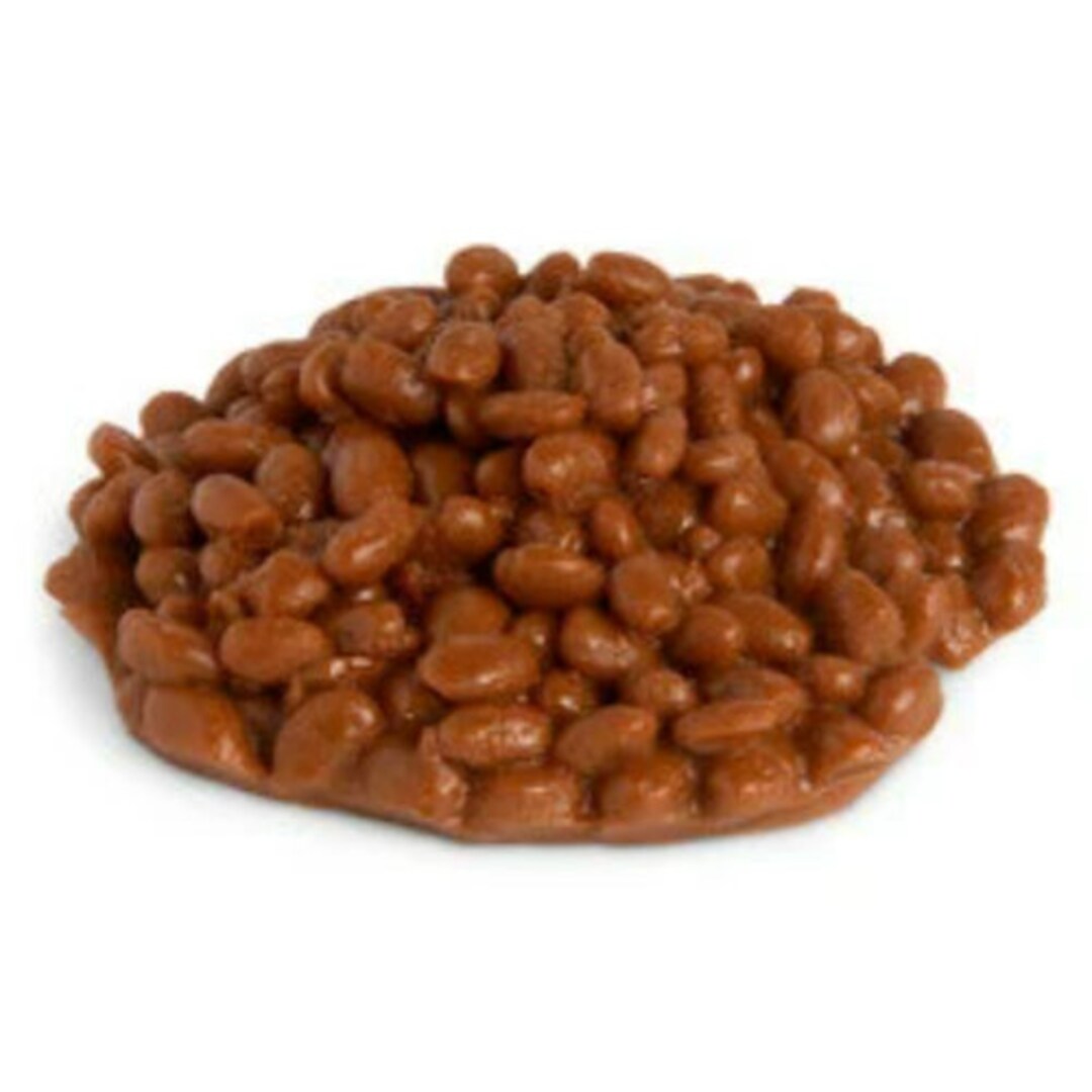 Baked Beans Fake Food Replica - Etsy