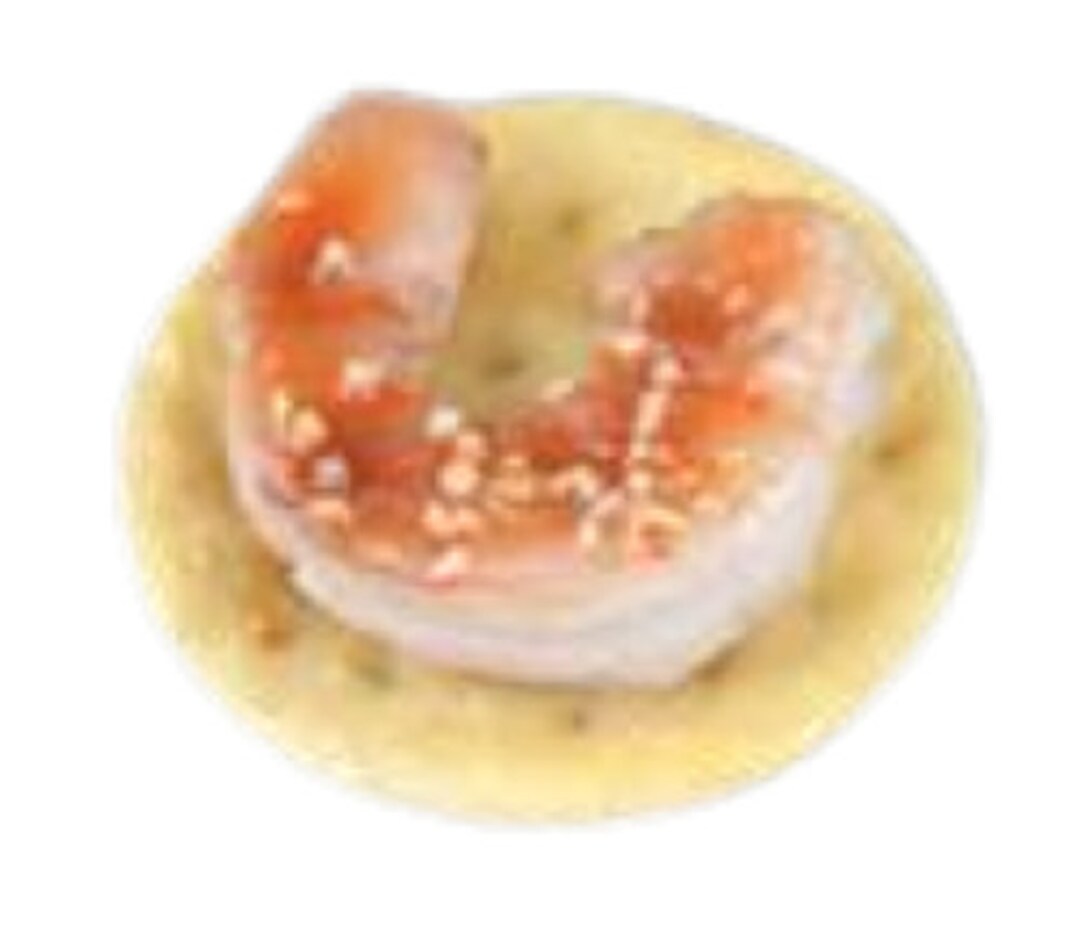 Shrimp Cracker Hors D'oeuvre Fake Food Replica - Etsy