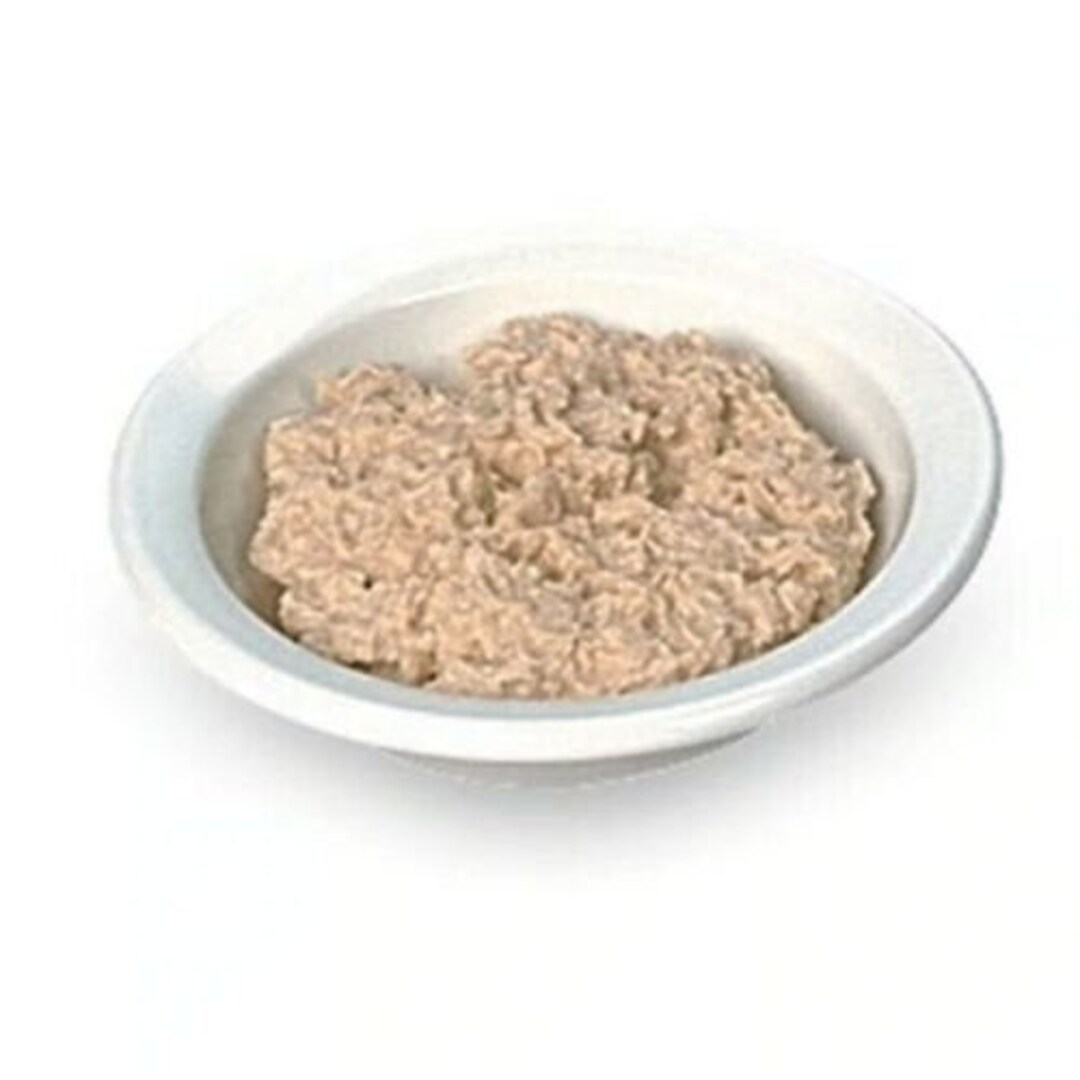 Oatmeal Fake Food Replica - Etsy