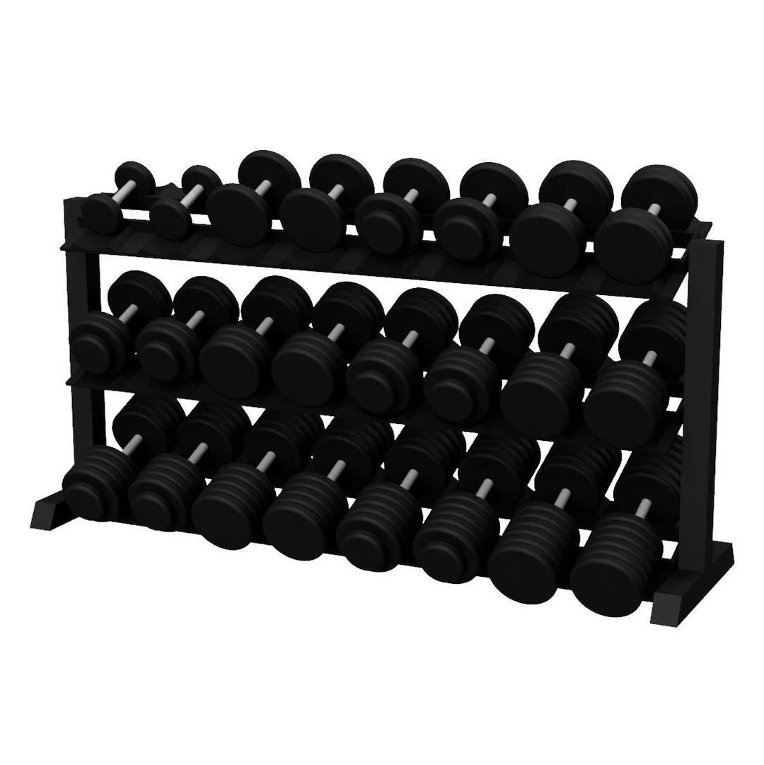Mini Gym Dumbbells With Rack, Gym Enthusiast Gift, Bodybuilding Weights ...
