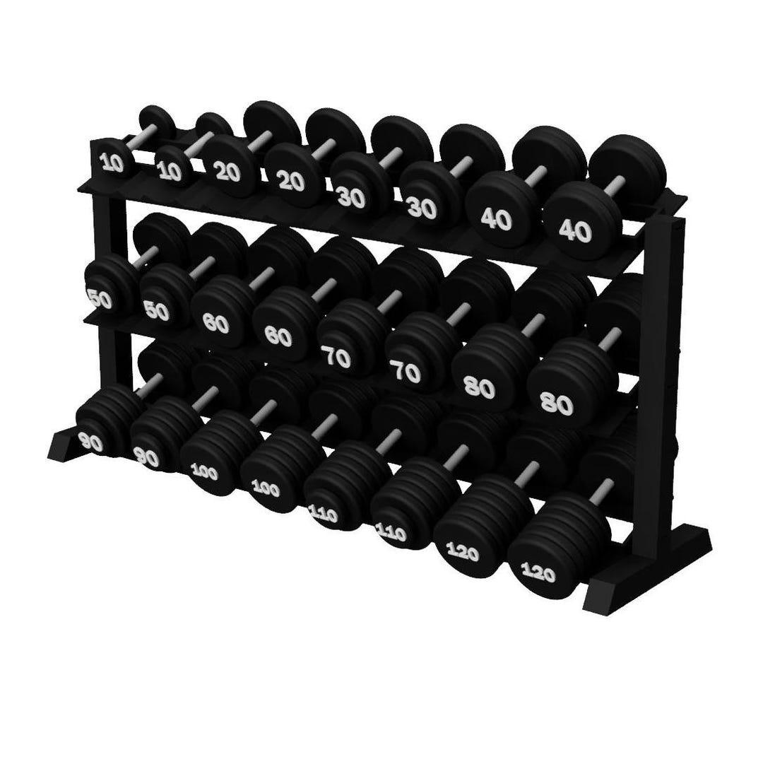 Mini Gym Dumbbells With Rack, Gym Enthusiast Gift, Bodybuilding Weights ...