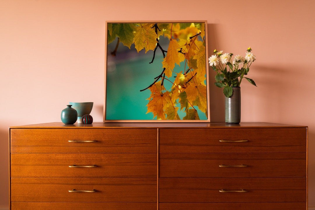 Fall Foliage Printable Photography Wall Art [digital Print] #6595 - Etsy