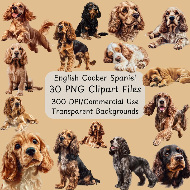 English Cocker Spaniel - Etsy