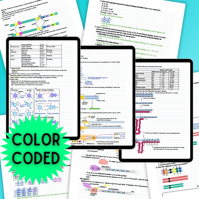 Genetics Notes Bundle, Genetics Study Guide, Genetics, Pre-med, Med ...