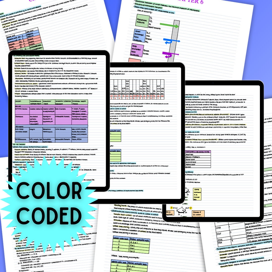 Cell Biology Notes Bundle, Cell Biology Study Guide, MCAT Prep, Pre-med ...