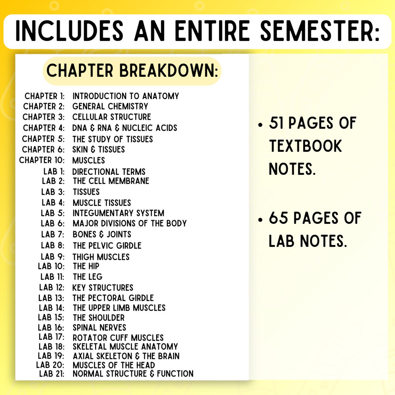 Anatomy Notes Bundle, Anatomy Study Guide, MCAT Prep, Pre-med, Nursing ...