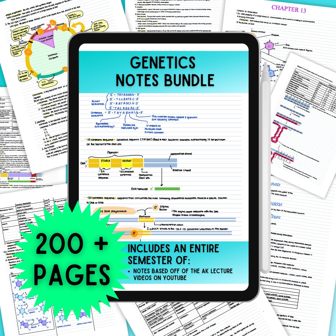 Genetics Notes Bundle, Genetics Study Guide, Genetics, Pre-med, Med ...