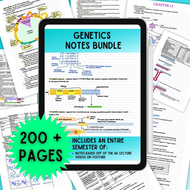 Genetics Notes Bundle, Genetics Study Guide, Genetics, Pre-med, Med ...