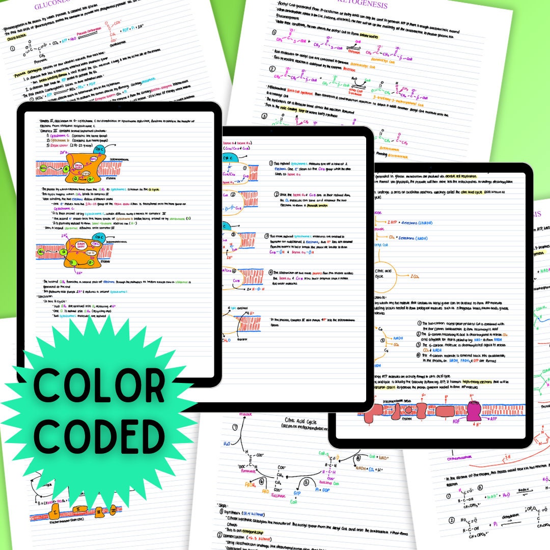 Biochemistry Notes Bundle, Biochemistry Study Guide, MCAT Prep, Pre-med ...