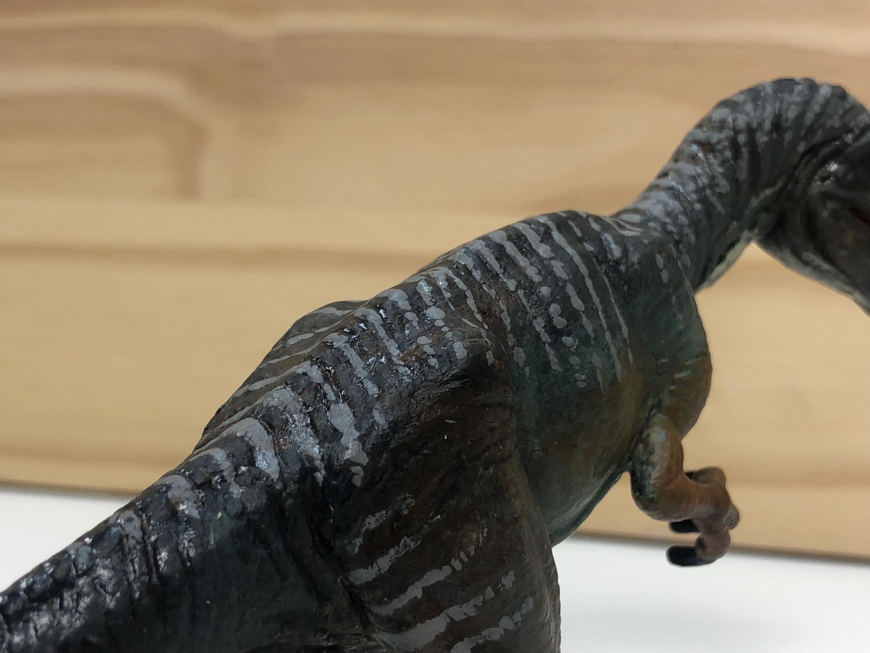 Re-released Repainted Allosaurus Umbrarex Safari Ltd - Etsy