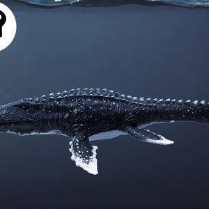 Deep Mosasaurus - Etsy