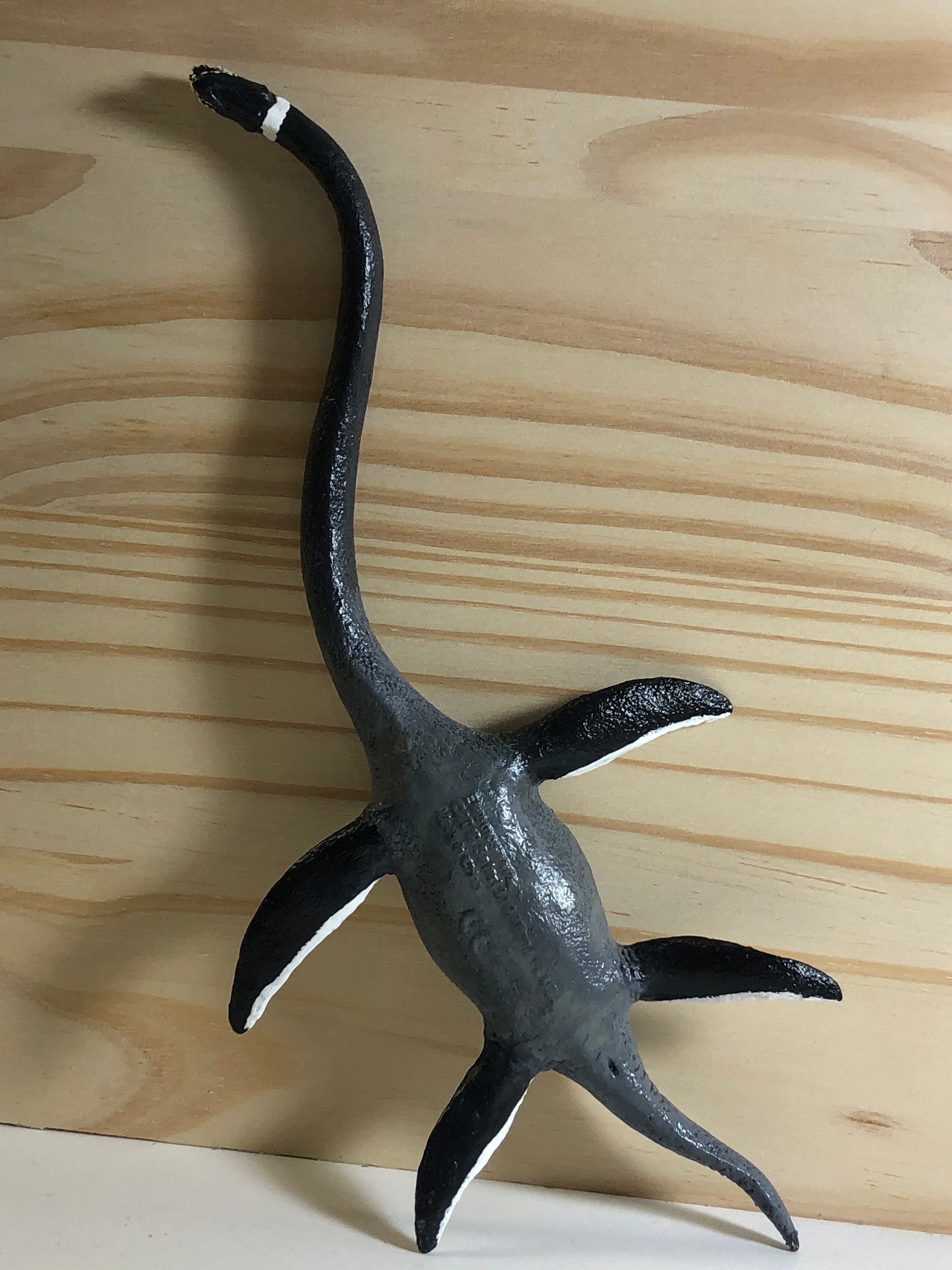 Repainted Elasmosaurus Safari Ltd - Etsy