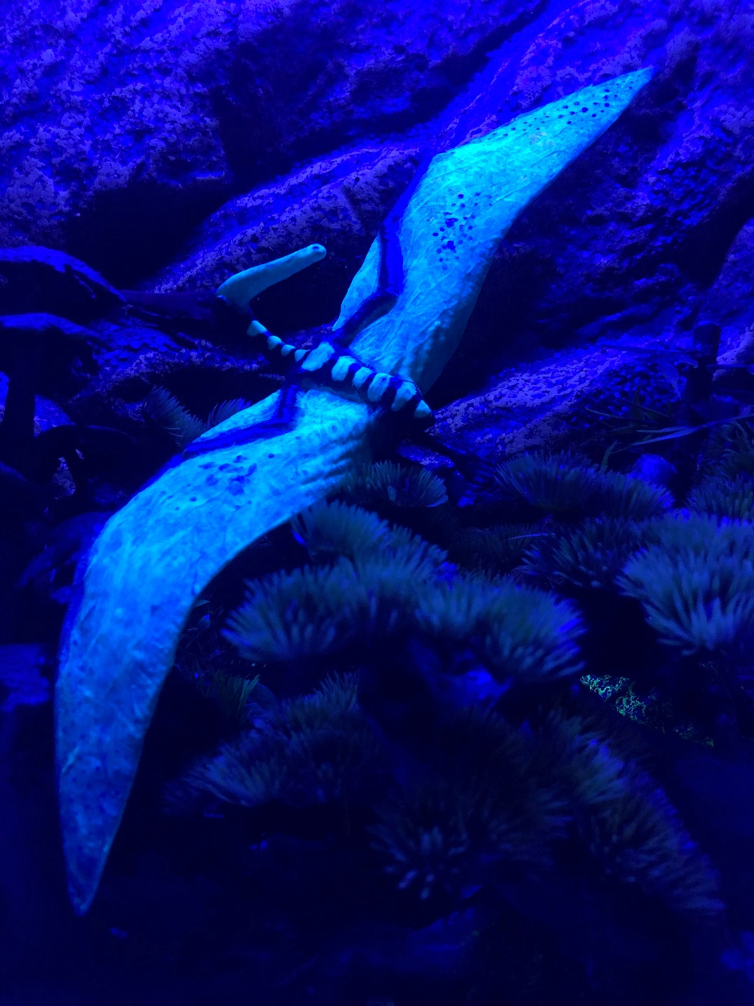 Pteranodon Repainted Model Figures Glow in the Dark - Etsy