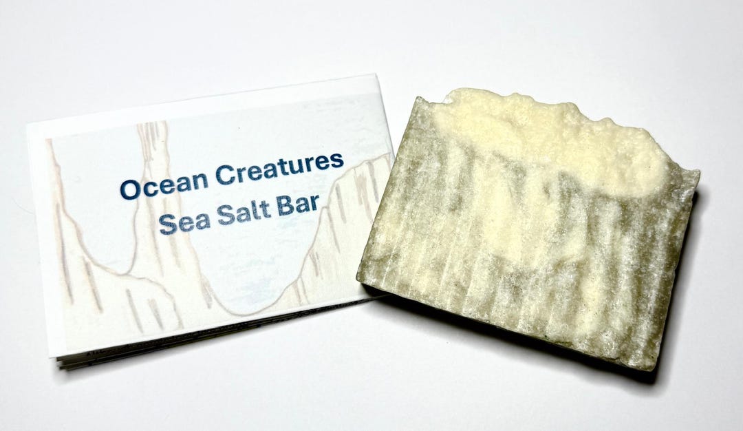Ocean Creatures Sea Salt Soap Bar - Etsy