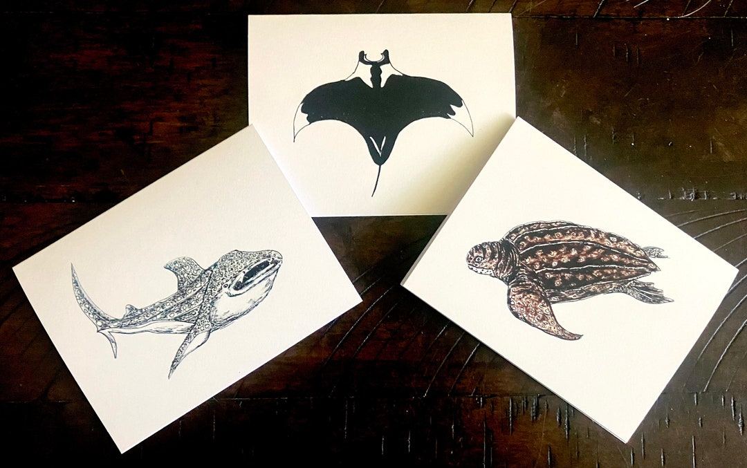 Majestic Sea Creature Cards Set of 3 (giant Manta, Leatherback Sea ...