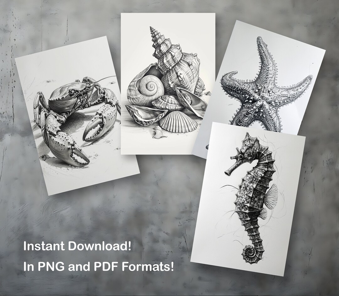 Sea Items Vintage Pencil Drawings Digital Wall Art Files Instant ...