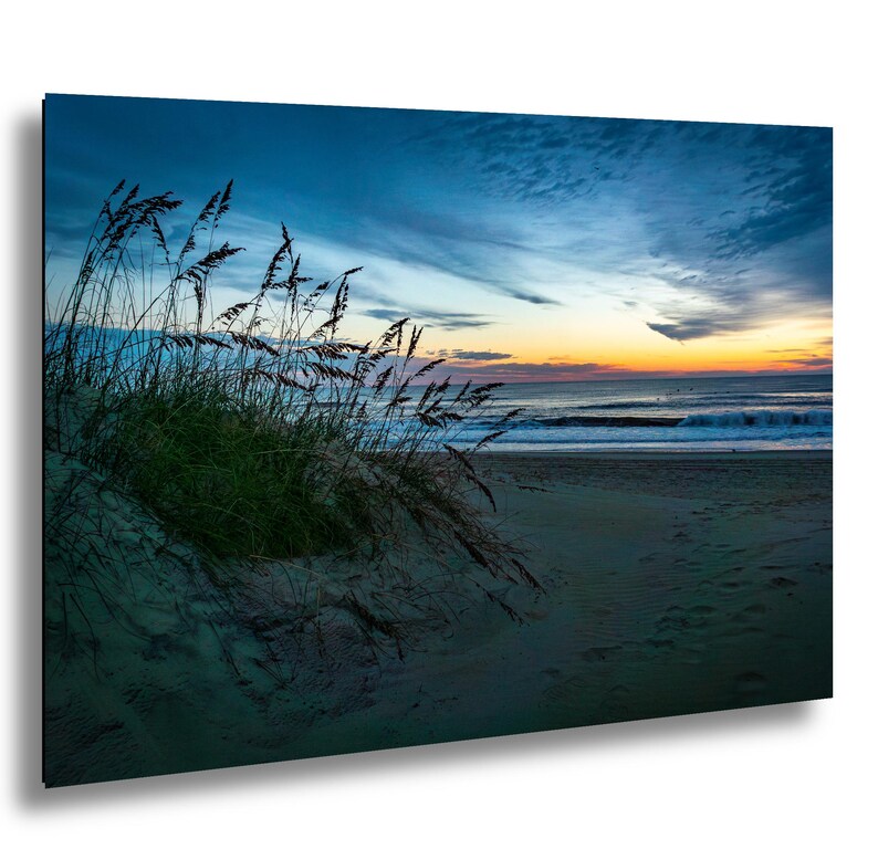 Sea Oats at Sunrise, Atlantic Ocean, OBX, Outer Banks, Nags Head, North ...