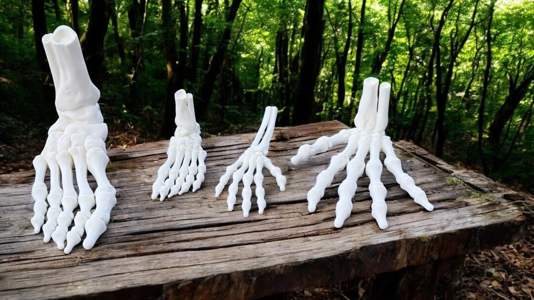 3D Printed Skeleton Hands & Feet – Articulated Fidget Toy for Halloween ...