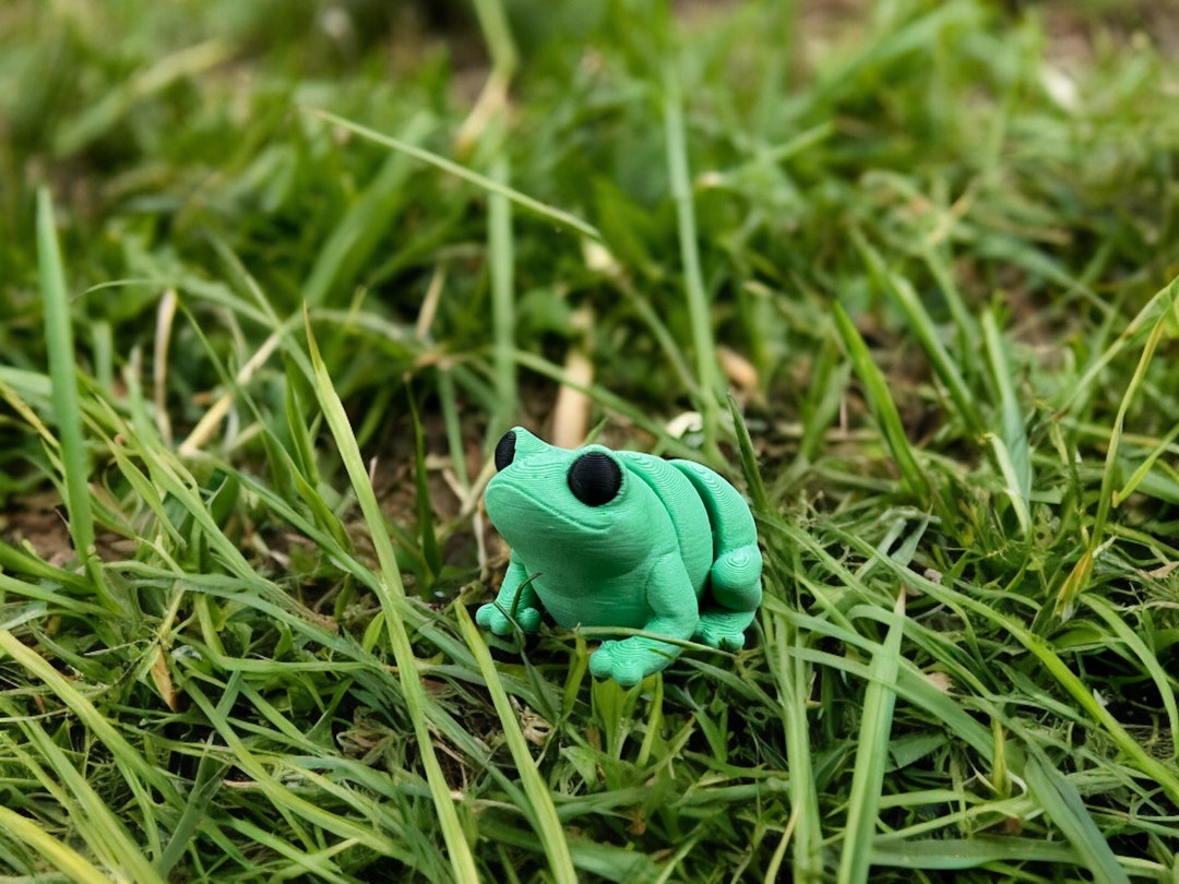 Flexi Frog Fidget Toy: 3D Printed Collectible - Etsy