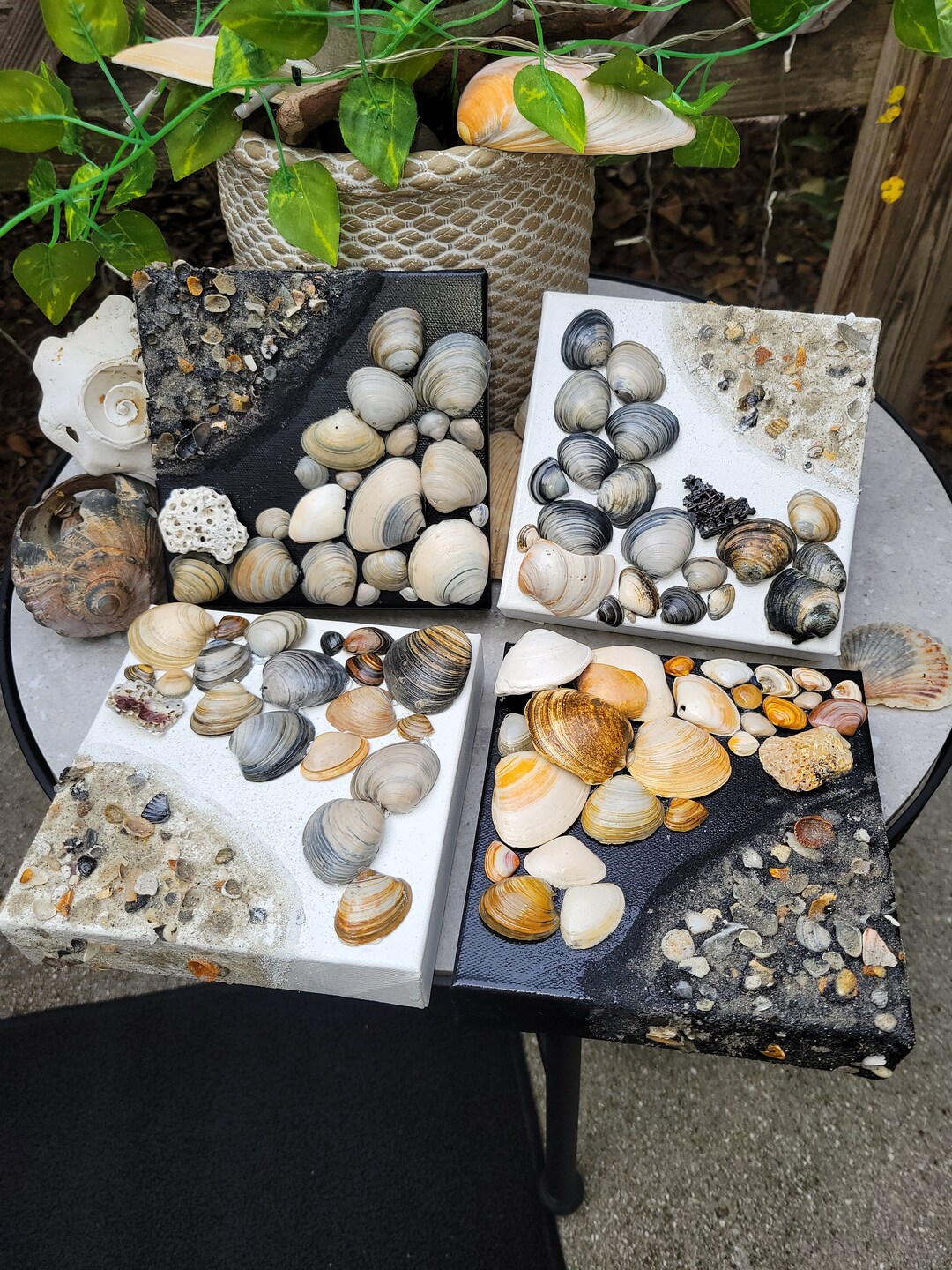 Shell Art, Coastal, Ocean, Sand, Black and White, Handmade, 4 Piece - Etsy